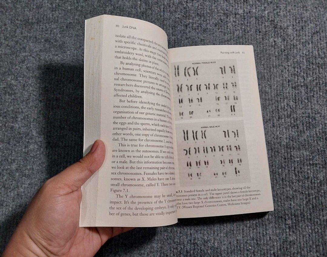 JUNK DNA: A Journey Through the Dark Matter of the Genome, Hobbies & Toys, Books & Magazines ...
