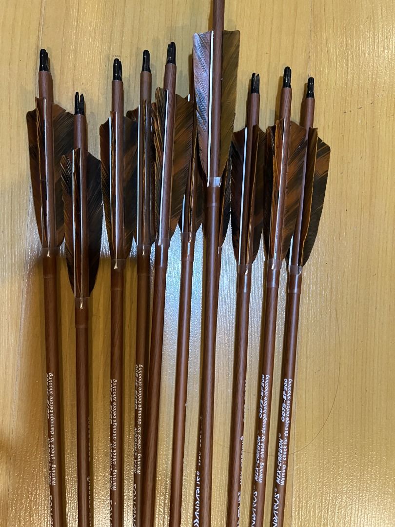 Pandarus OD79-SP500 Carbon Fiber Arrows, Sports Equipment, Other Sports ...