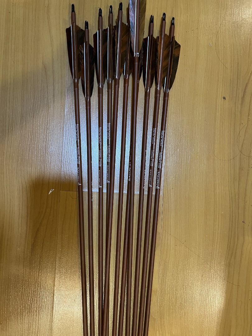 Pandarus OD79-SP500 Carbon Fiber Arrows, Sports Equipment, Other Sports ...