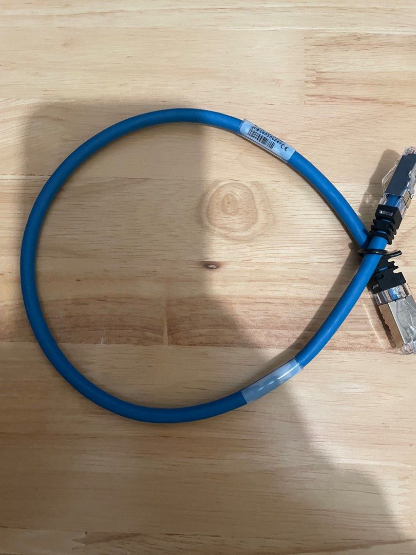 PANDUIT CAT 6A LAN CABLE 網線0.5m(米), 電腦＆科技, 電腦周邊及配件, Wifi及上網相關產品 - Carousell