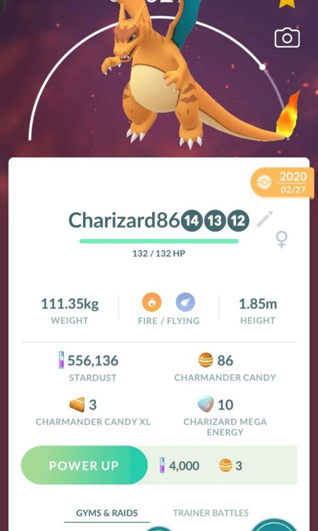 Pokemon Go Clone Charizard, Video Gaming, Gaming Accessories, In-Game ...