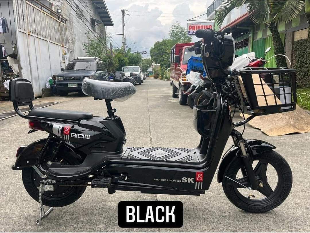 SK E Bike 2 Wheels Electric Bike, Motorbikes, Motorbikes for Sale on Carousell