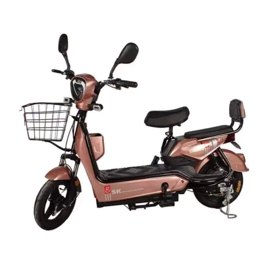 SK E Bike 2 Wheels Electric Bike, Motorbikes, Motorbikes for Sale on Carousell