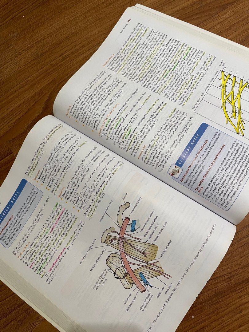 Snell Clinical Anatomy by Regions 9th edition, Hobbies & Toys, Books ...