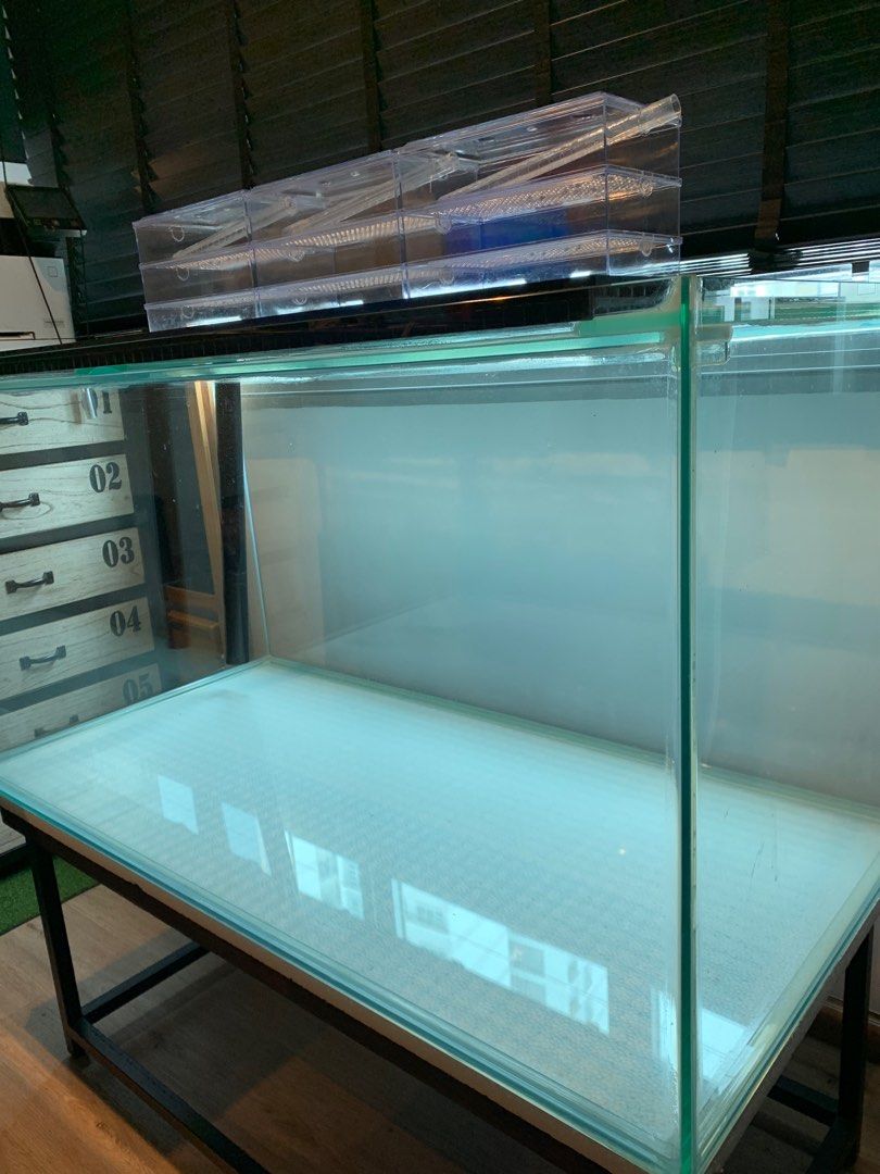 4ft x 2ft x 2ft Fish tank, Pet Supplies, Homes & Other Pet Accessories ...