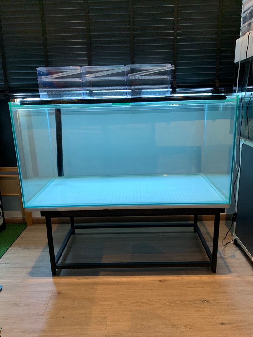 4ft x 2ft x 2ft Fish tank, Pet Supplies, Homes & Other Pet Accessories ...