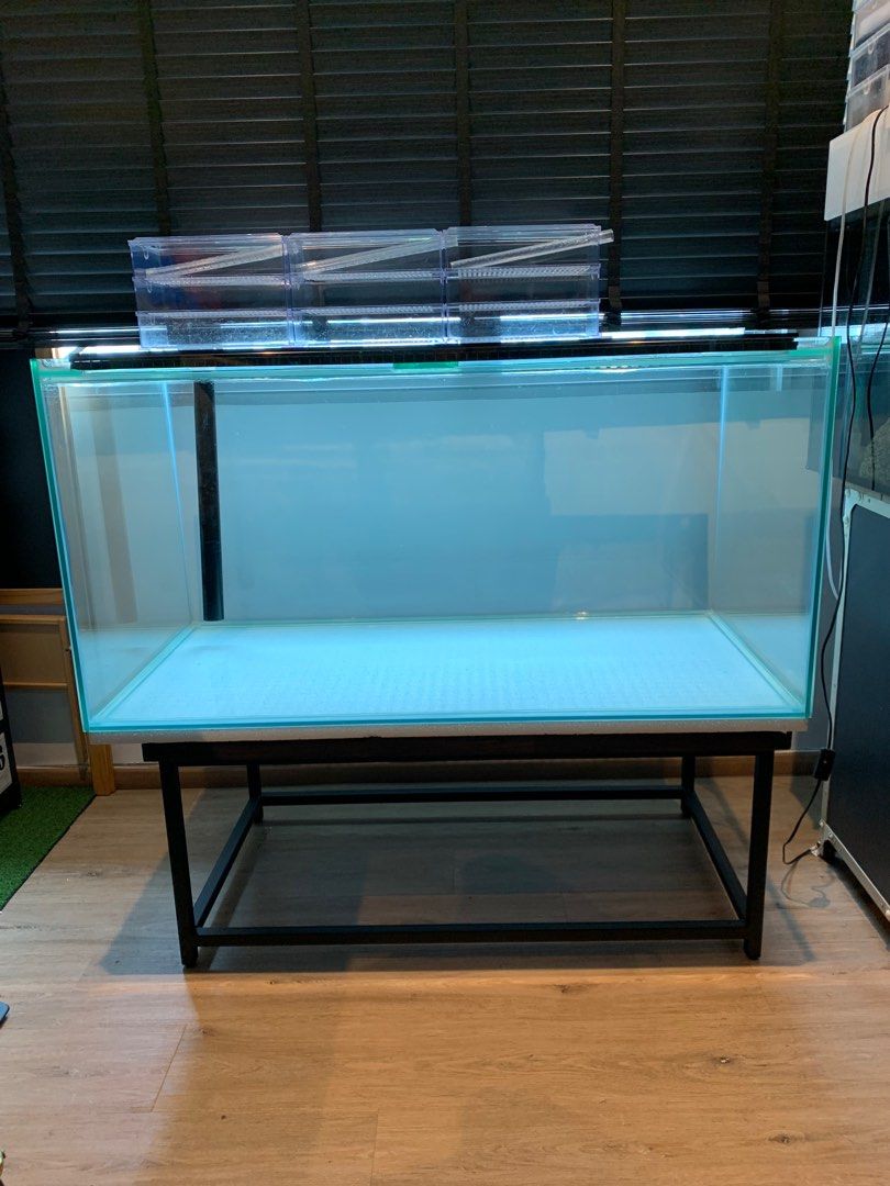 4ft x 2ft x 2ft Fish tank, Pet Supplies, Homes & Other Pet Accessories ...