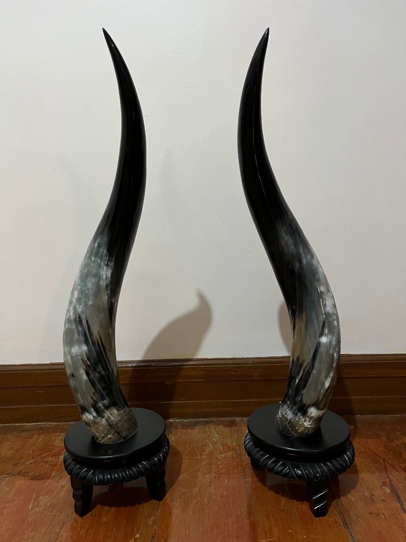 Bull Horn Home Decor, Furniture & Home Living, Home Decor, Other Home ...