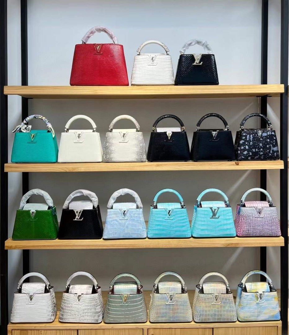 Capucine mini, Luxury, Bags & Wallets on Carousell