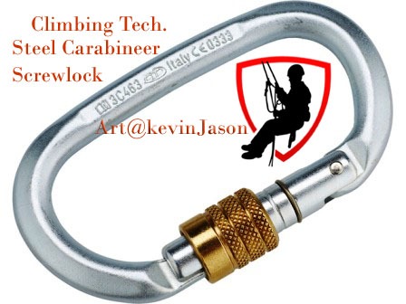 Carabineer for Climbing Rescue Wall Climbing Rescue Device, Sports ...