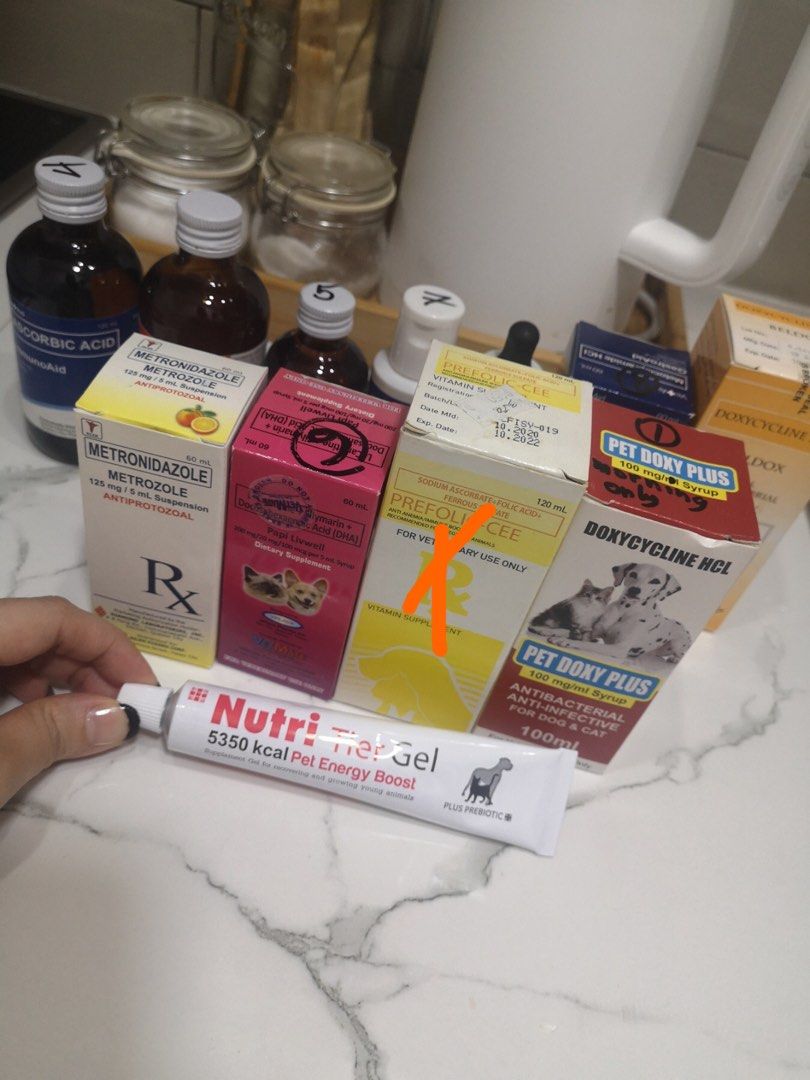 Dog Medicines (parvo, distemper, blood parasite), Pet Supplies, Homes ...