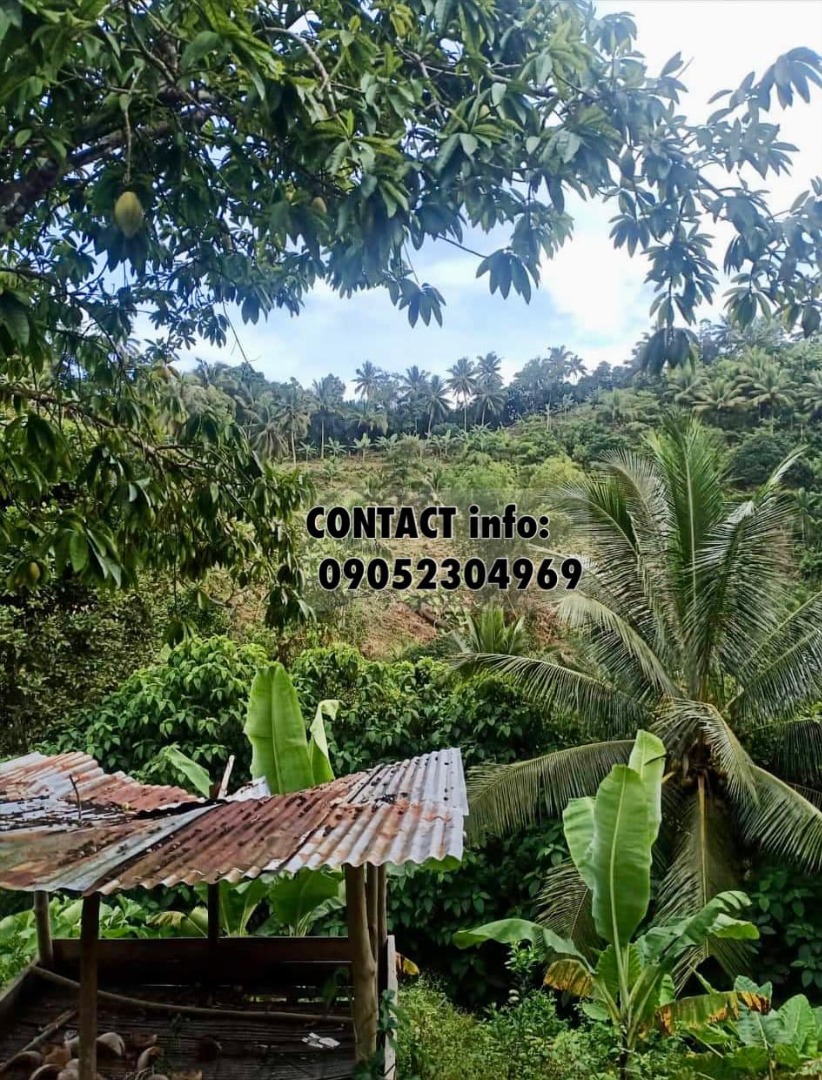 100+ affordable "pampanga farm land for sale" For Sale | Carousell ...