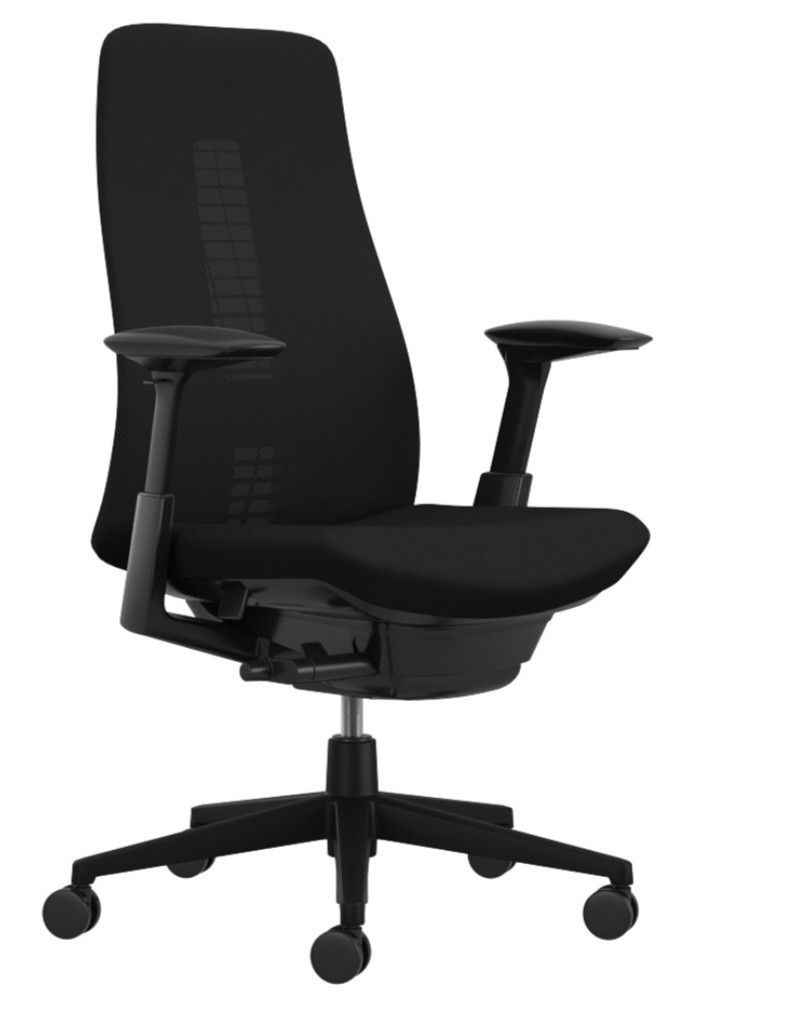 Haworth Fern Ergonomic Chair (4D arms, back lumbar, forward tilt ...