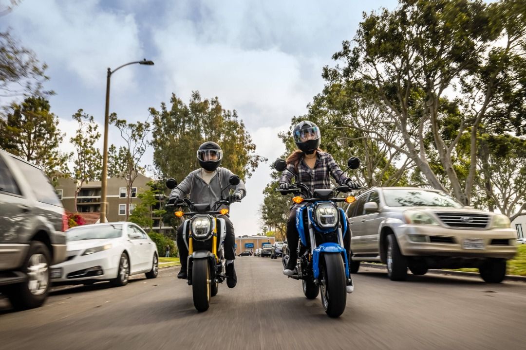 HONDA MSX125 BRAND NEW GROM MINI MOTO CLASS 2B STREET ROAD BIKE MOTOR ...