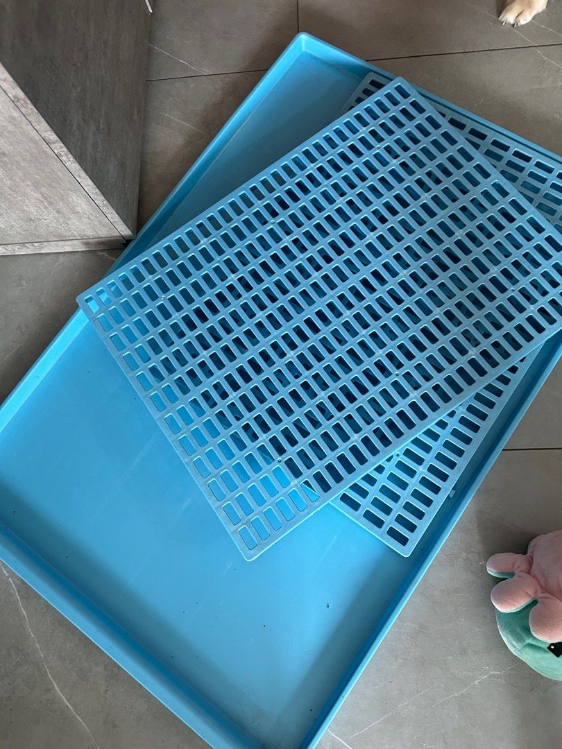 Large Dog Pee Tray, Pet Supplies, Homes & Other Pet Accessories on ...