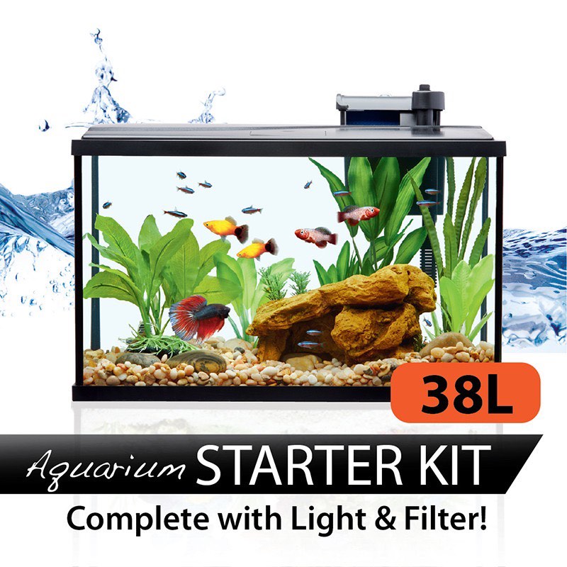 Resun 38L Fish tank, Pet Supplies, Homes & Other Pet Accessories on ...