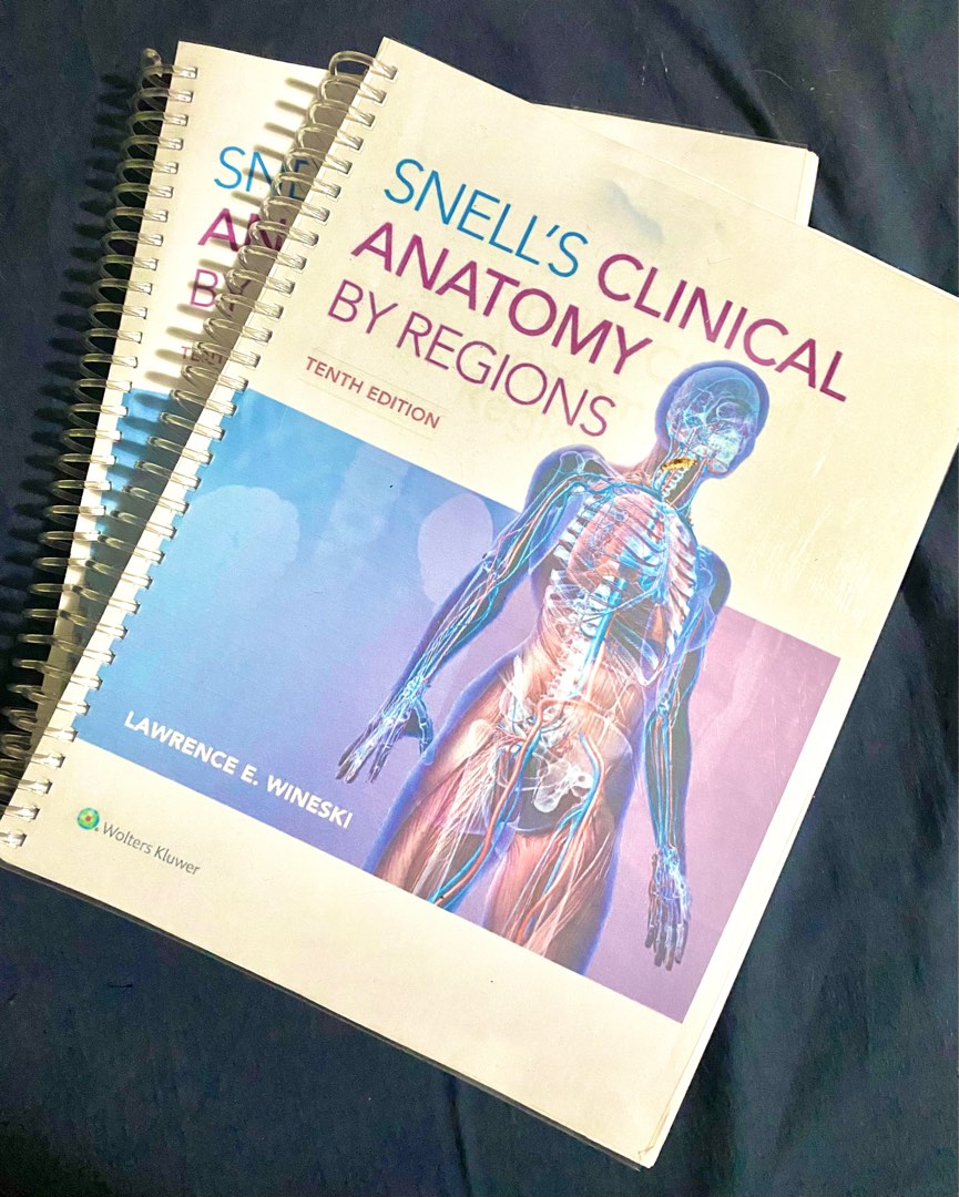 Snell's Clinical Anatomy 10th ed (Lawrence Wineski), Hobbies & Toys ...