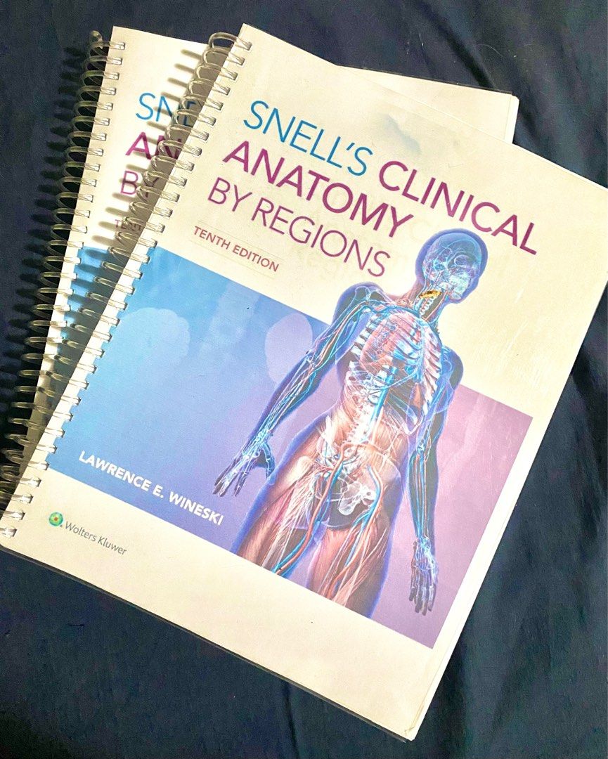 Snell's Clinical Anatomy 10th ed (Lawrence Wineski), Hobbies & Toys ...