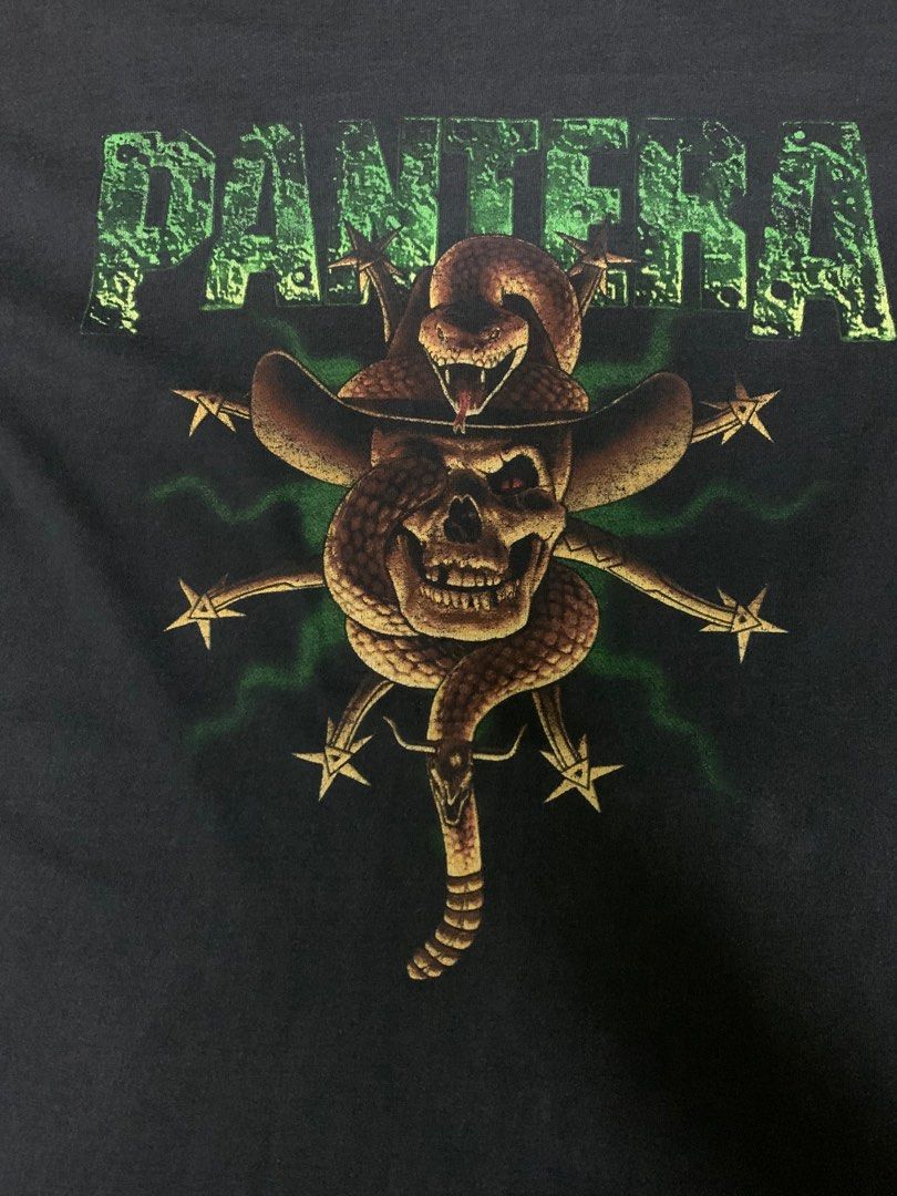 VINTAGE PANTERA SNAKE AND SKULL, Men's Fashion, Tops & Sets, Tshirts ...