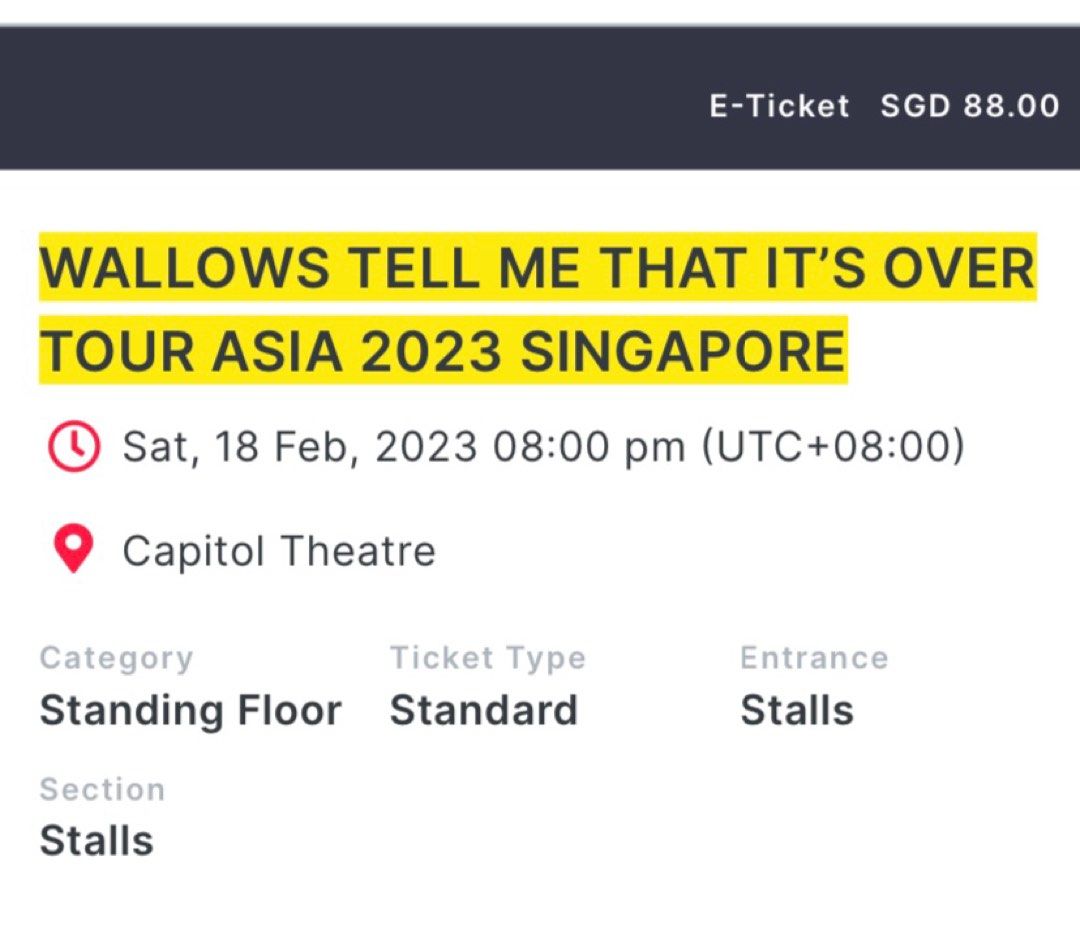 wallows ticket standing, Audio, Other Audio Equipment on Carousell