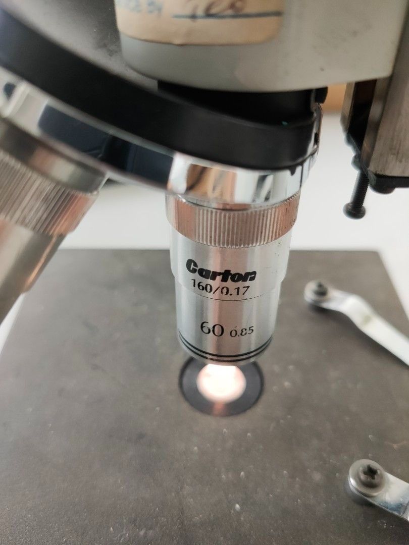 Carton ST 40 Microscope For Sale @ $200 each (AAR 1651), Everything ...