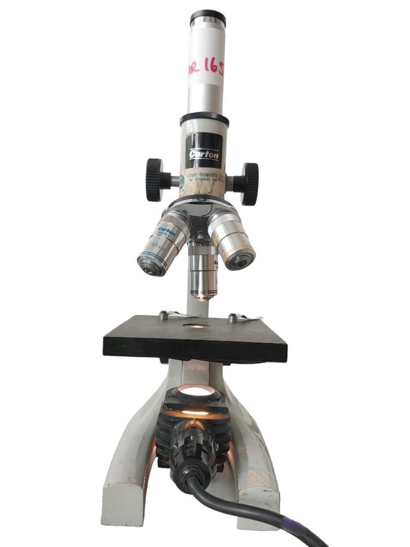 Carton ST 40 Microscope For Sale @ $200 each (AAR 1651), Everything ...