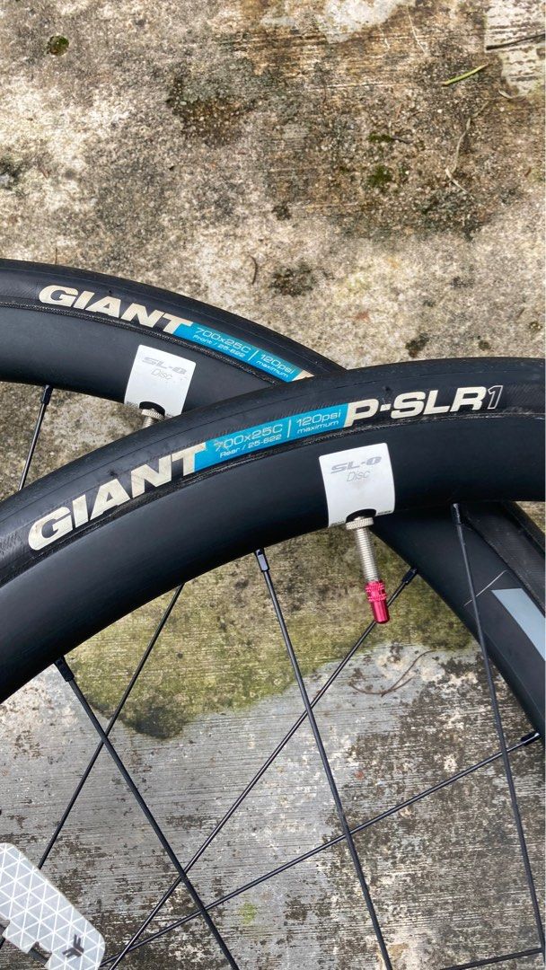 Giant SL-0 700c Disk Brake Clincher Quick Release 6-Bolt, Sports ...