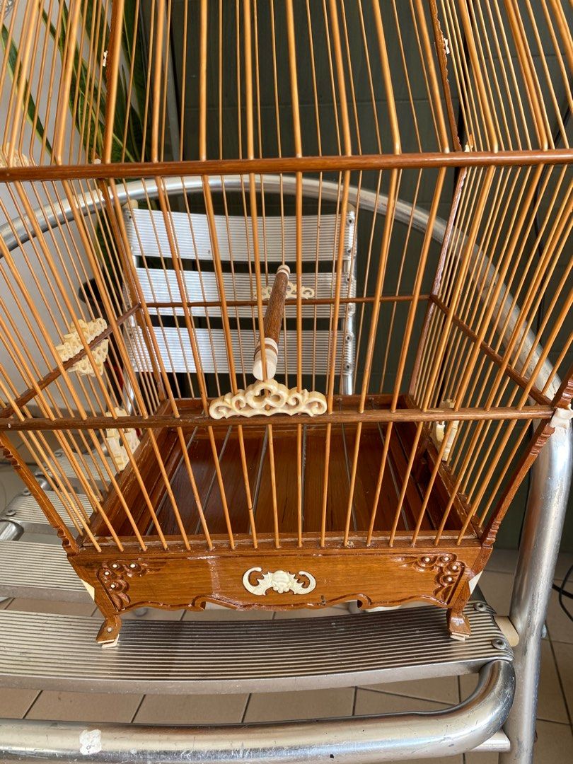 Jambul Cage 17 sticks, Pet Supplies, Homes & Other Pet Accessories on ...