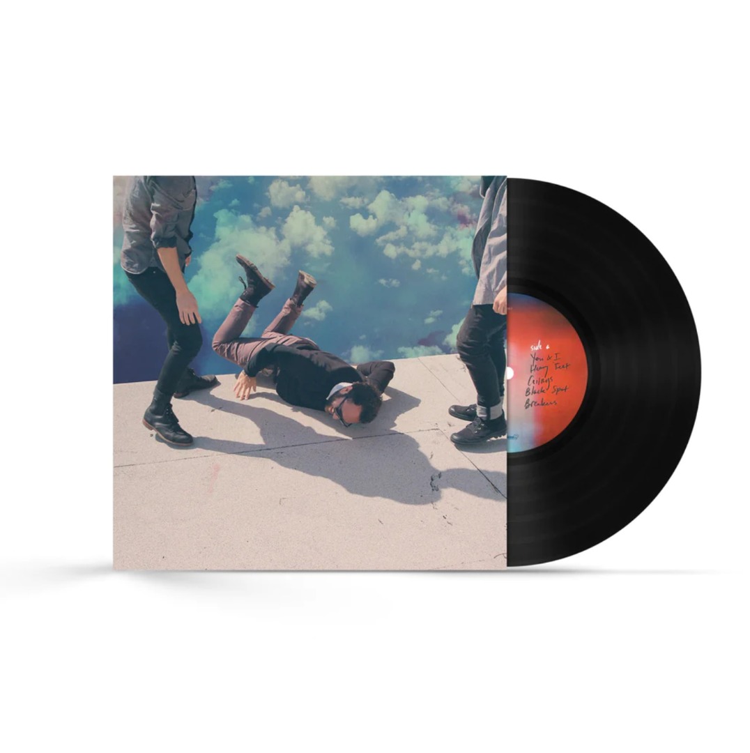 LOCAL NATIVES - Hummingbird (Vinyl LP), Hobbies & Toys, Music & Media ...