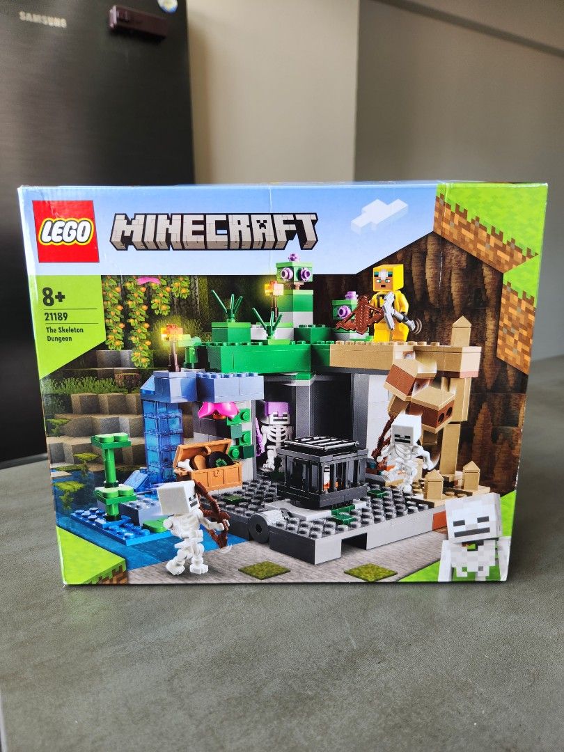 Minecraft Skeleton Dungeon, Hobbies & Toys, Toys & Games on Carousell