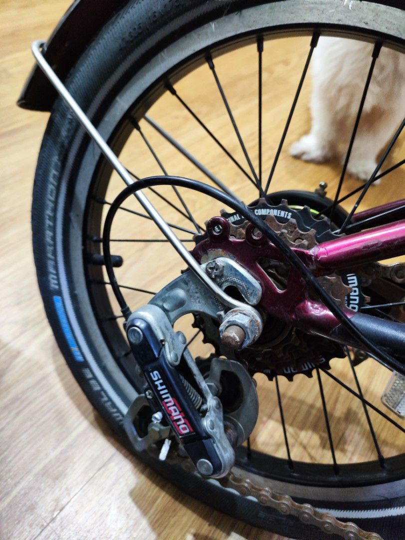 Nacre Dahon patented folding bike, Sports Equipment, Bicycles & Parts ...