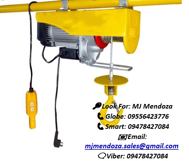 PA MINI ELECTRIC HOIST WITH TROLLEY (18M WIRE ROPE) SINGLE PHASE 220 ...