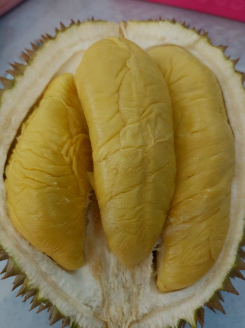 Pahang Raub Old Tree Blackgold MSW, Food & Drinks, Fresh Produce on ...