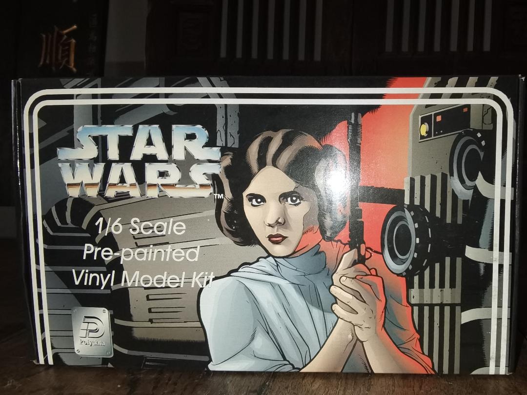 POLYDATA 1/6 SCALE PRE PAINTED VINYL MODEL KIT PRINCESS LEIA ORGANA ...