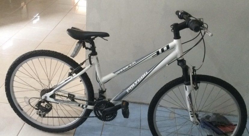 POLYGON MONARCH 3.0, Olah Raga, Sepeda di Carousell