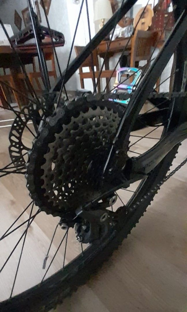 Polygon Xtrada 5, Sports Equipment, Bicycles & Parts, Bicycles on Carousell
