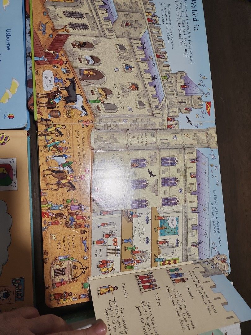 Usborne look inside series, Roman Town, Castle, Inside your body ...