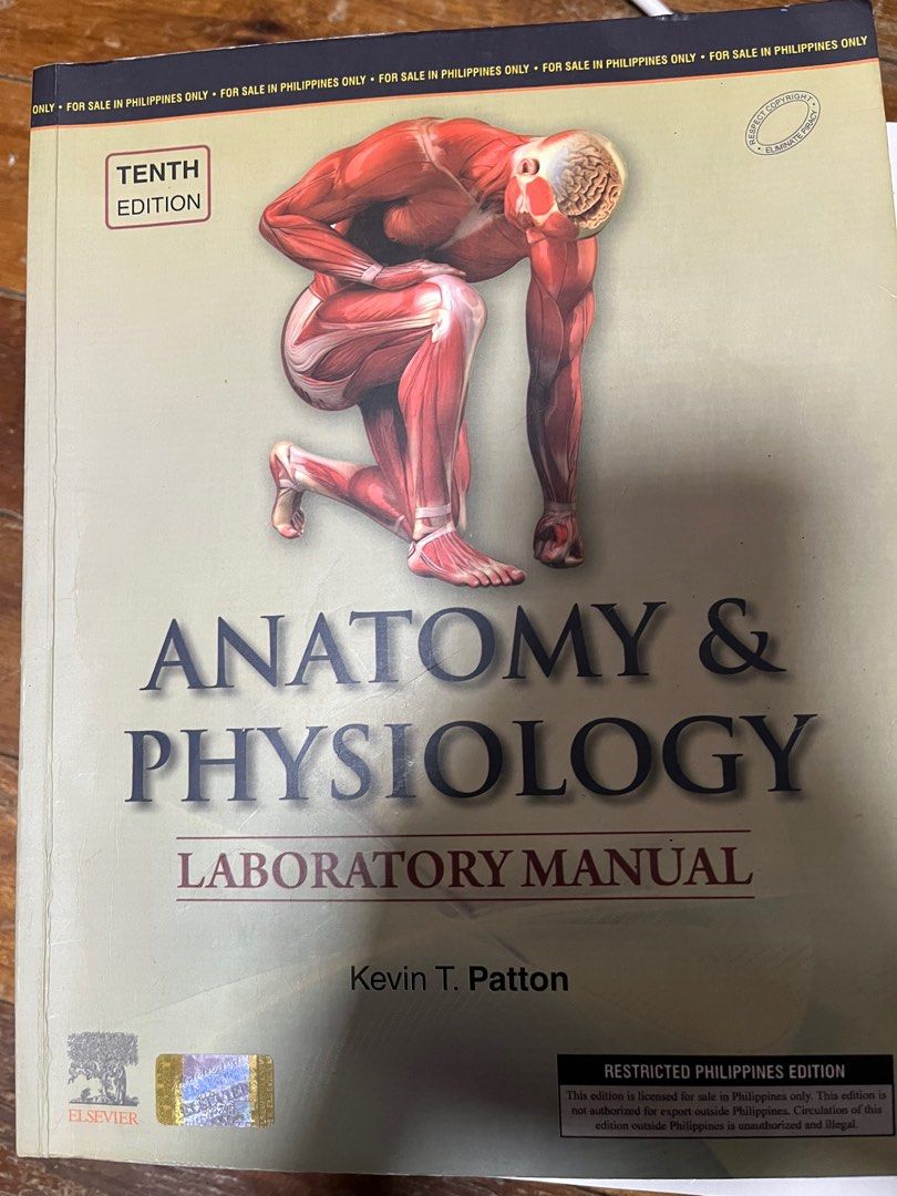 Anatomy & Physiology Laboratory Manual, Hobbies & Toys, Books & Magazines, Textbooks on Carousell