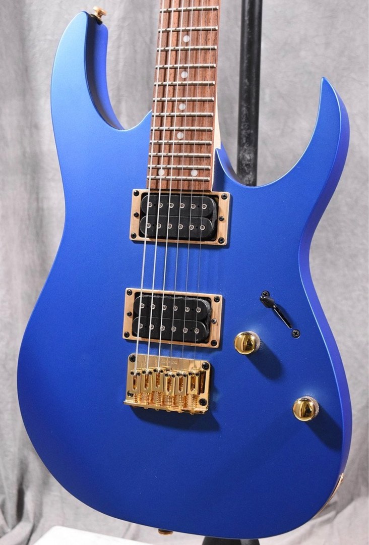 Ibanez RG421G, Hobbies & Toys, Music & Media, Musical Instruments on ...