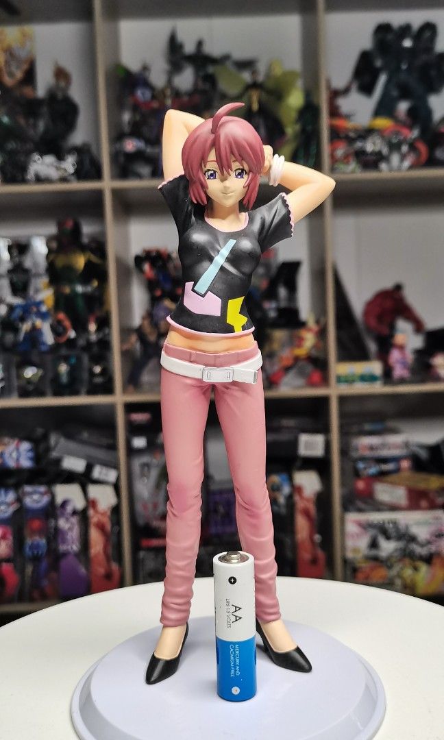 Lunamaria Hawke Gundam Seed Destiny Dx Hobbies And Toys Toys And Games On Carousell