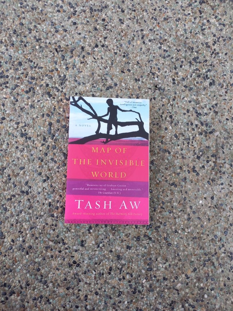 Map Of The Invisible World, Hobbies & Toys, Books & Magazines ...