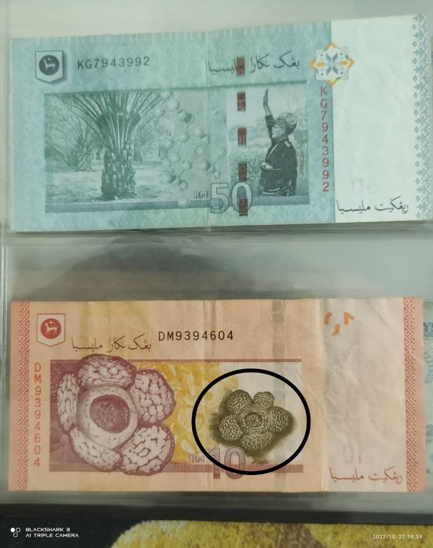 Rm10 bunga hitam. &. Rm50 .tanpa jalur hologram di sebelah potret Agong ...