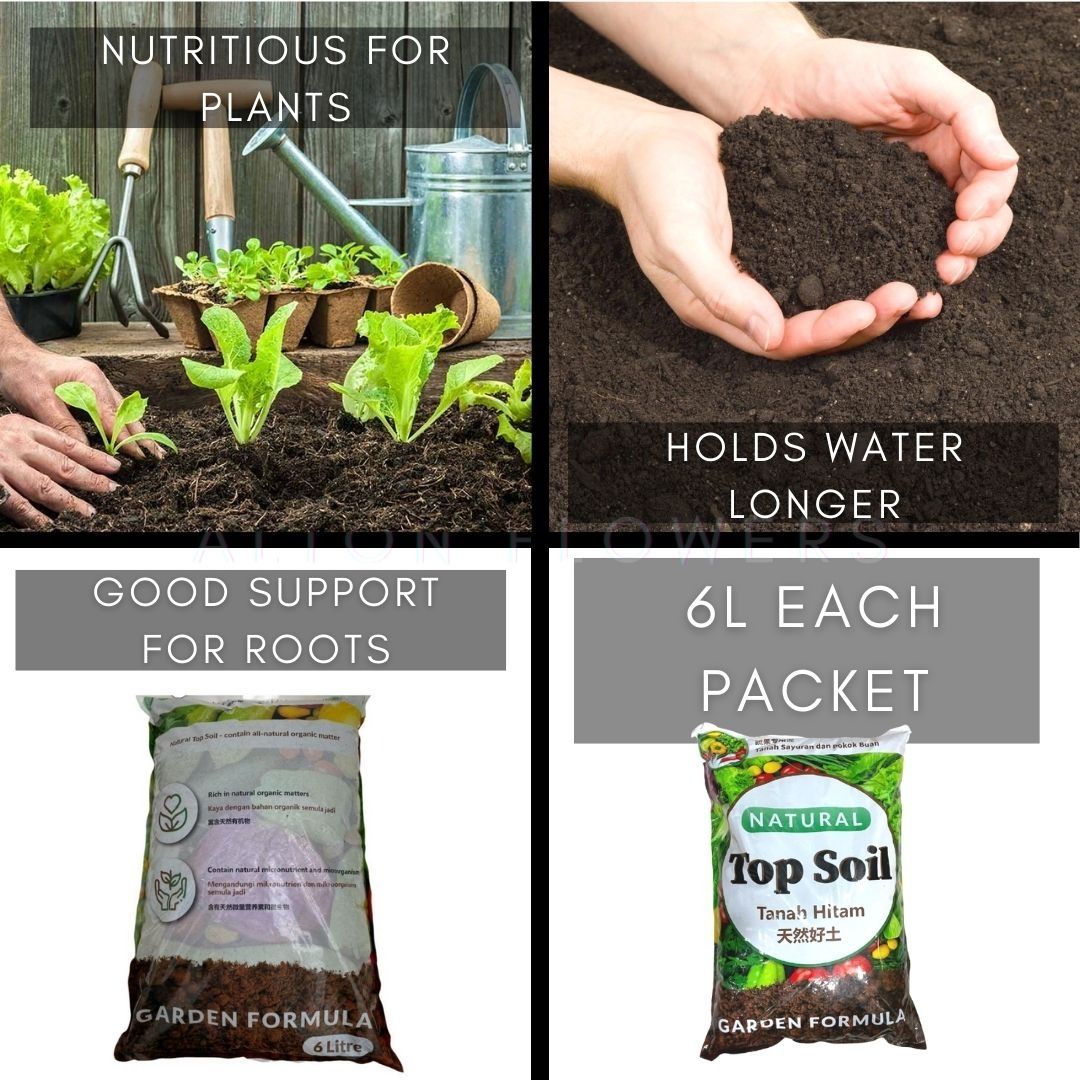 Soil Top soil, garden formula, natural compost Aacc239, Furniture ...