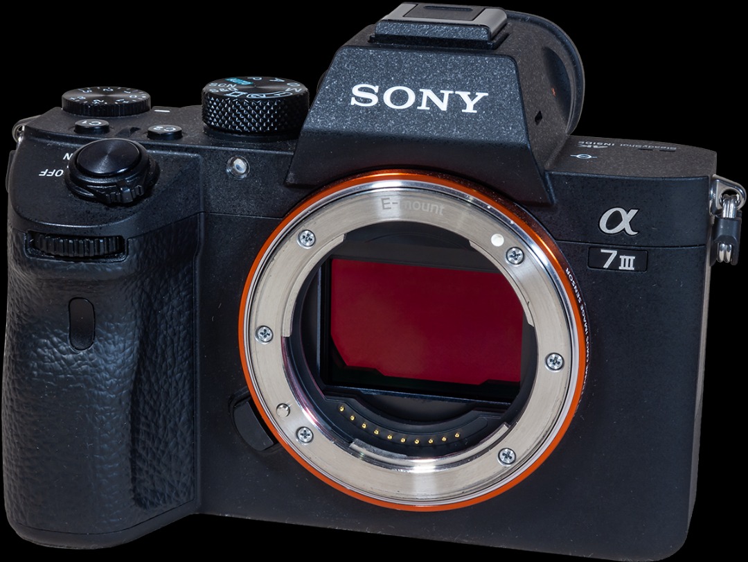 Sony A7III Body Only, Photography, Cameras on Carousell