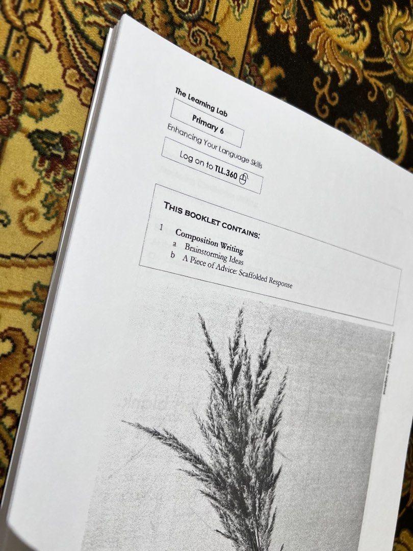 TLL English composition p6 PSLE the learning lab, Hobbies & Toys, Books ...