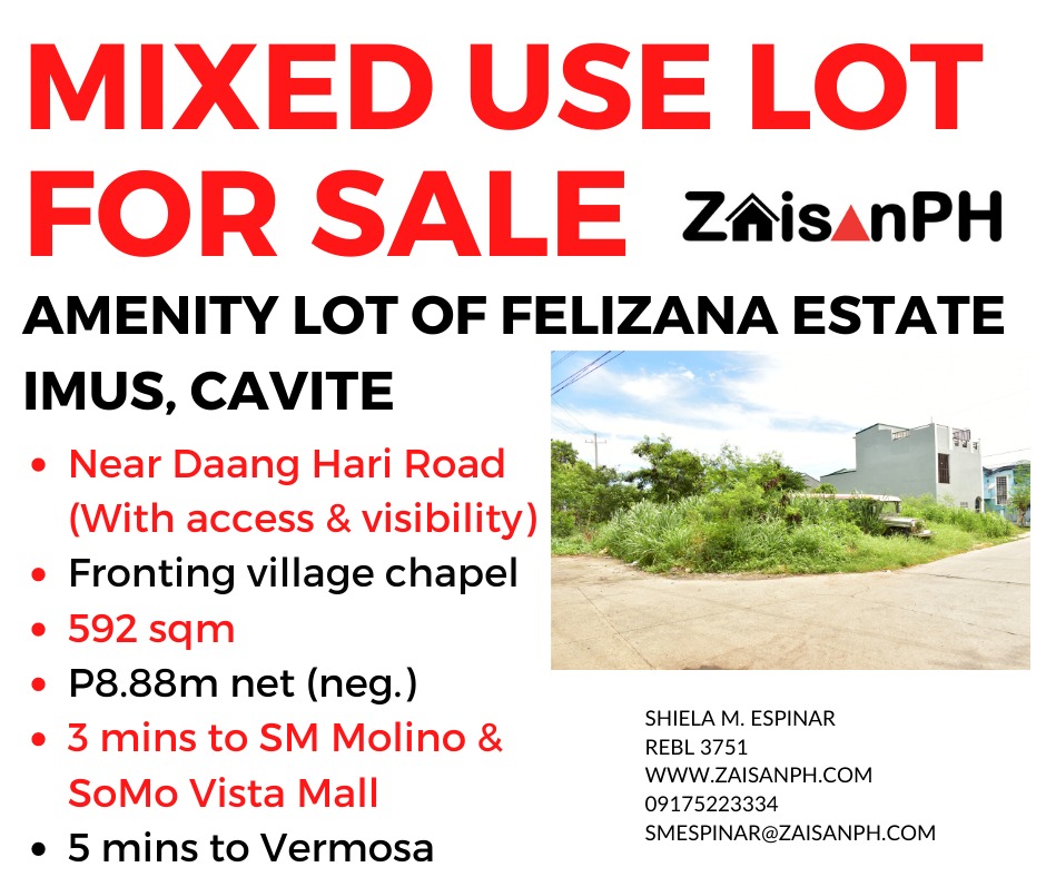Vacant Mixed-Use Lot (Amenity Lot) of Felizana Estate, Daang Hari Road ...