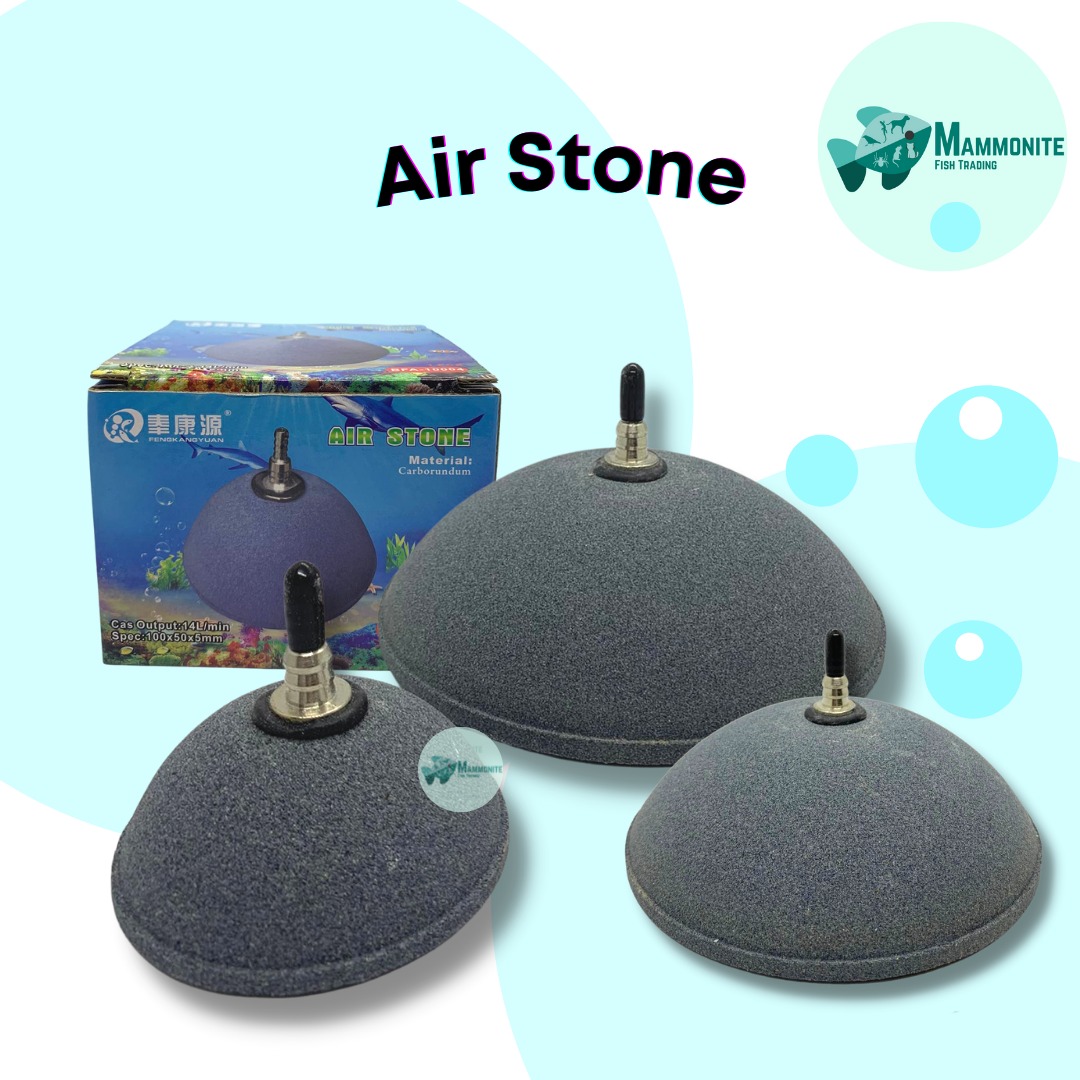 Aquarium Air Stone (Dome Type) For Air Pump Oxygen Bubbles, Pet ...