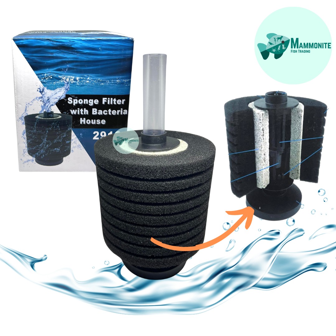 Aquarium Tank Bio Sponge Filter with Bacteria House Air Stone 2913, Pet ...