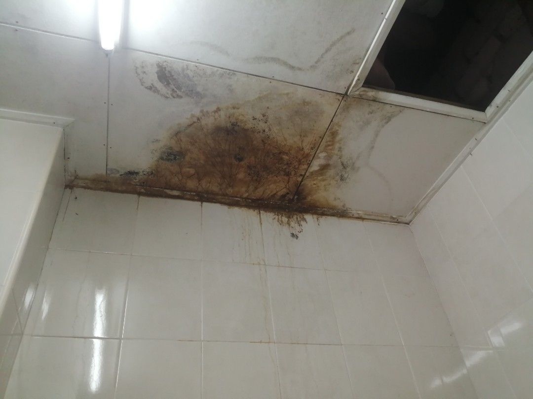 Baiki paip bocor atas siling, Services, Home Services, Home Repairs on ...