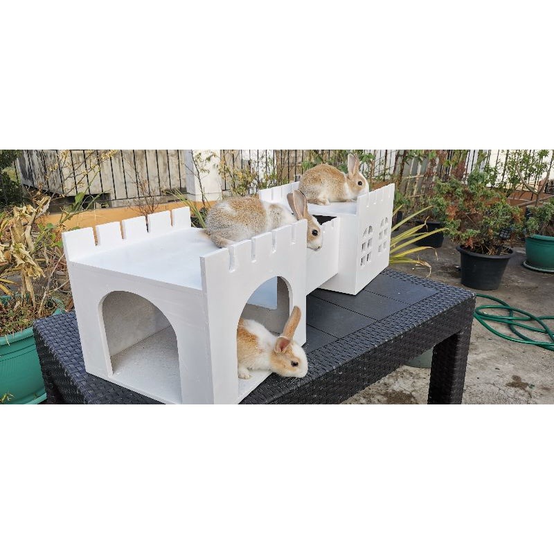 Binky Bugs Wooden Castle, Pet Supplies, Homes & Other Pet Accessories ...